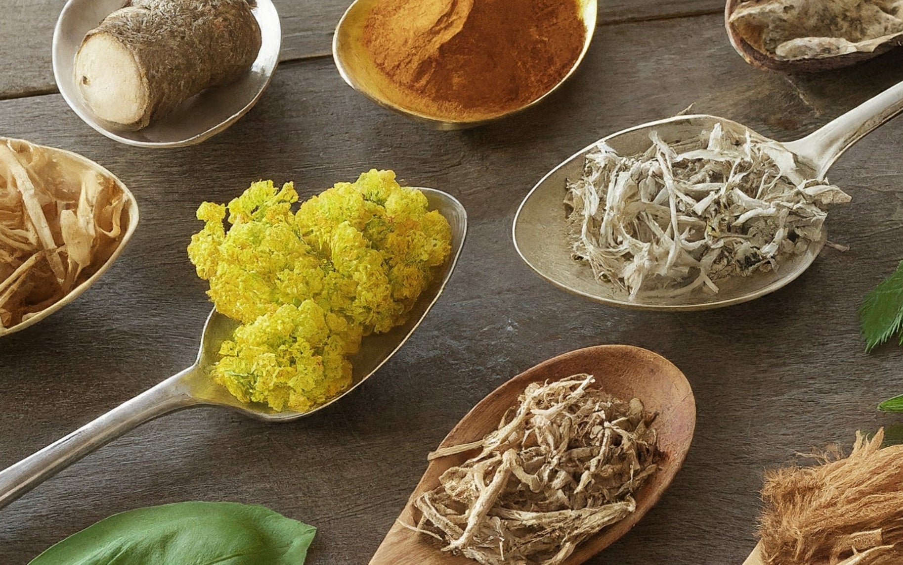 Adaptogen herbs for treating adrenal fatigue – Non Fungible Mushrooms